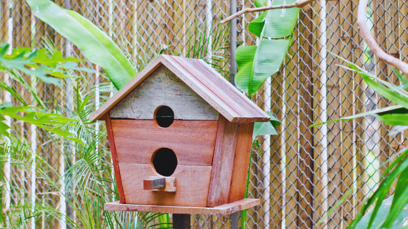 How to Build Your Own Birdhouse: A Step-by-Step Guide for Beginners ...